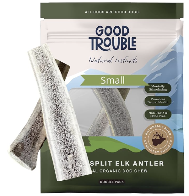 DIY: Build Your own 2×2 Agility Weave Poles | Ammo the Dachshund